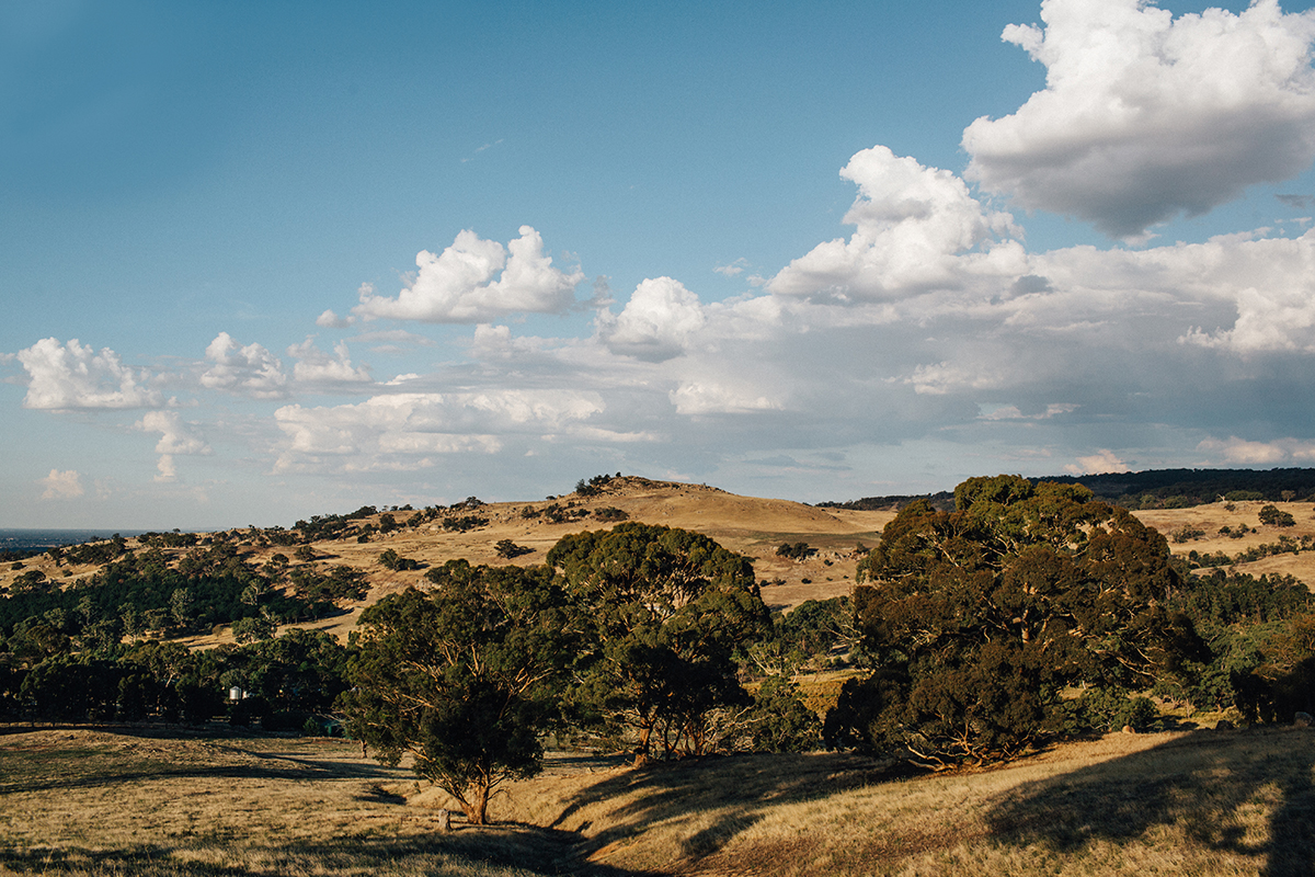Oak Valley » Kim Selby Photography