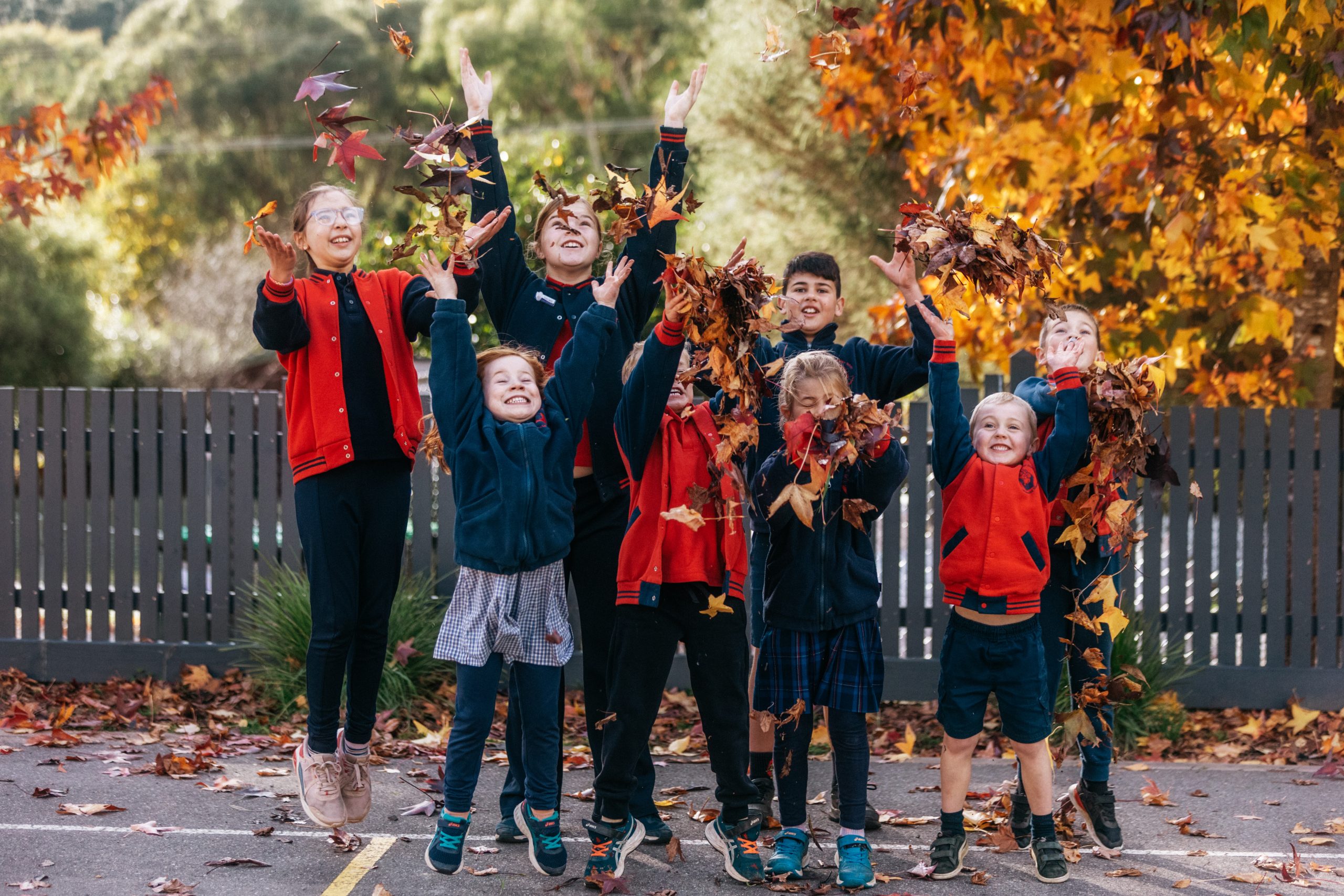 Macedon Primary School {Commercial School Photographer} » Kim Selby ...